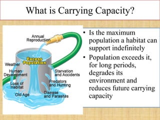 Carrying Capacity