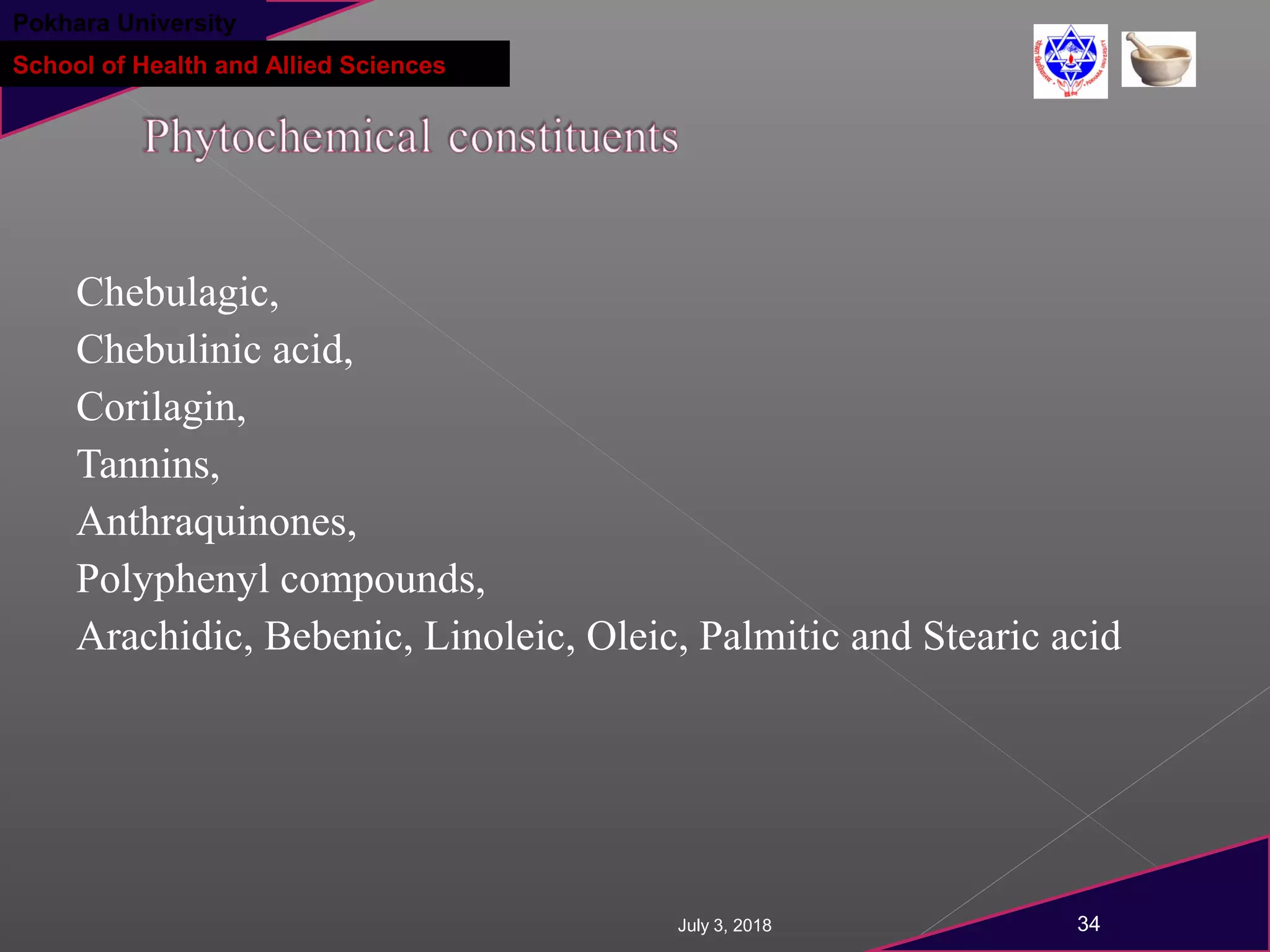 7.terminalia chebula (harro) | PPT