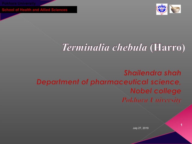 7.terminalia chebula (harro) | PPT