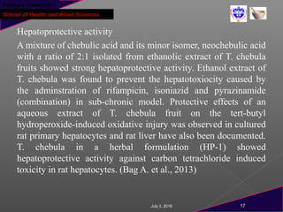 7.terminalia chebula (harro) | PPT