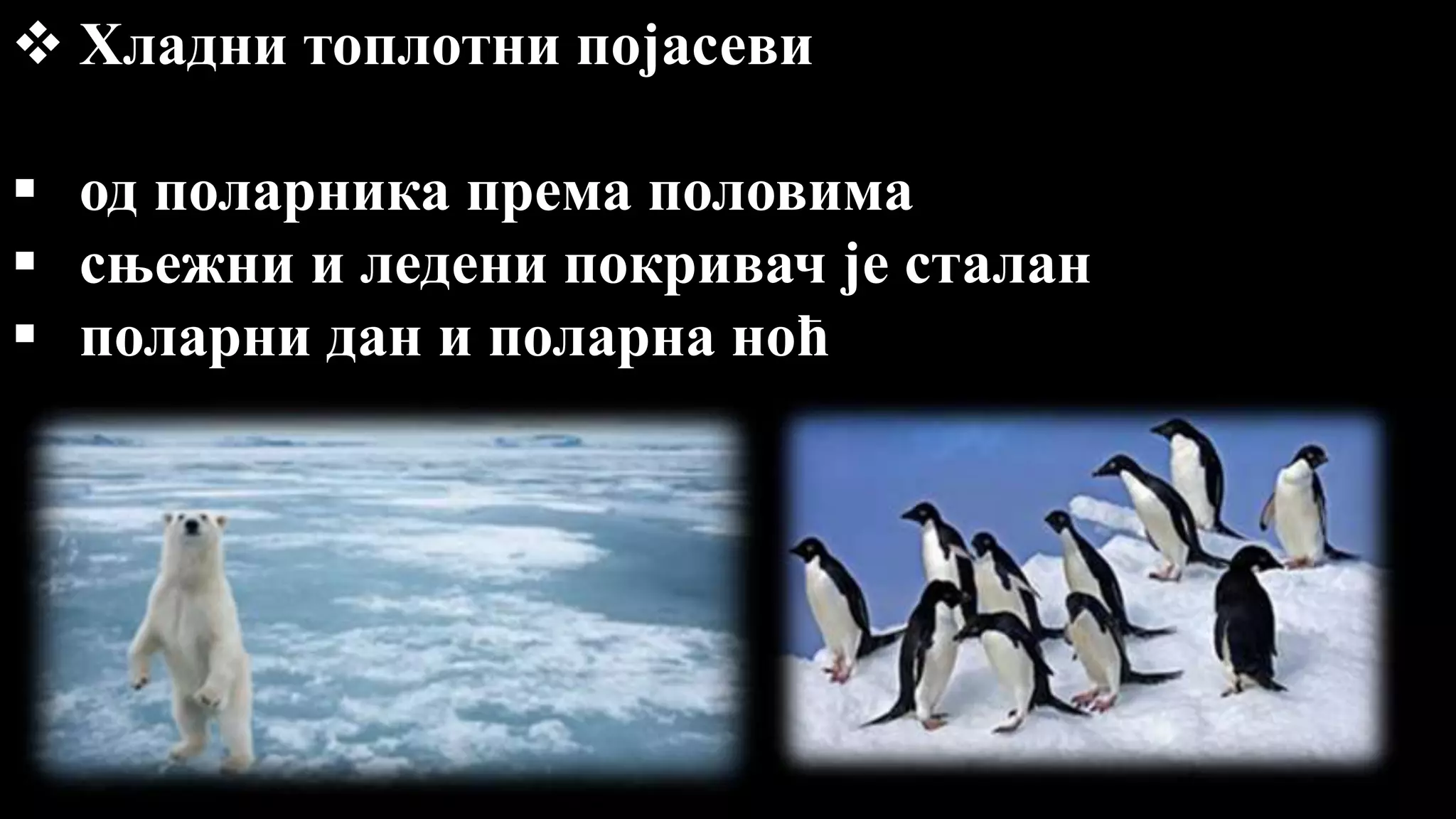 Toplotni pojasevi | PPTX