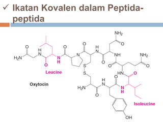Peptida | PPTX
