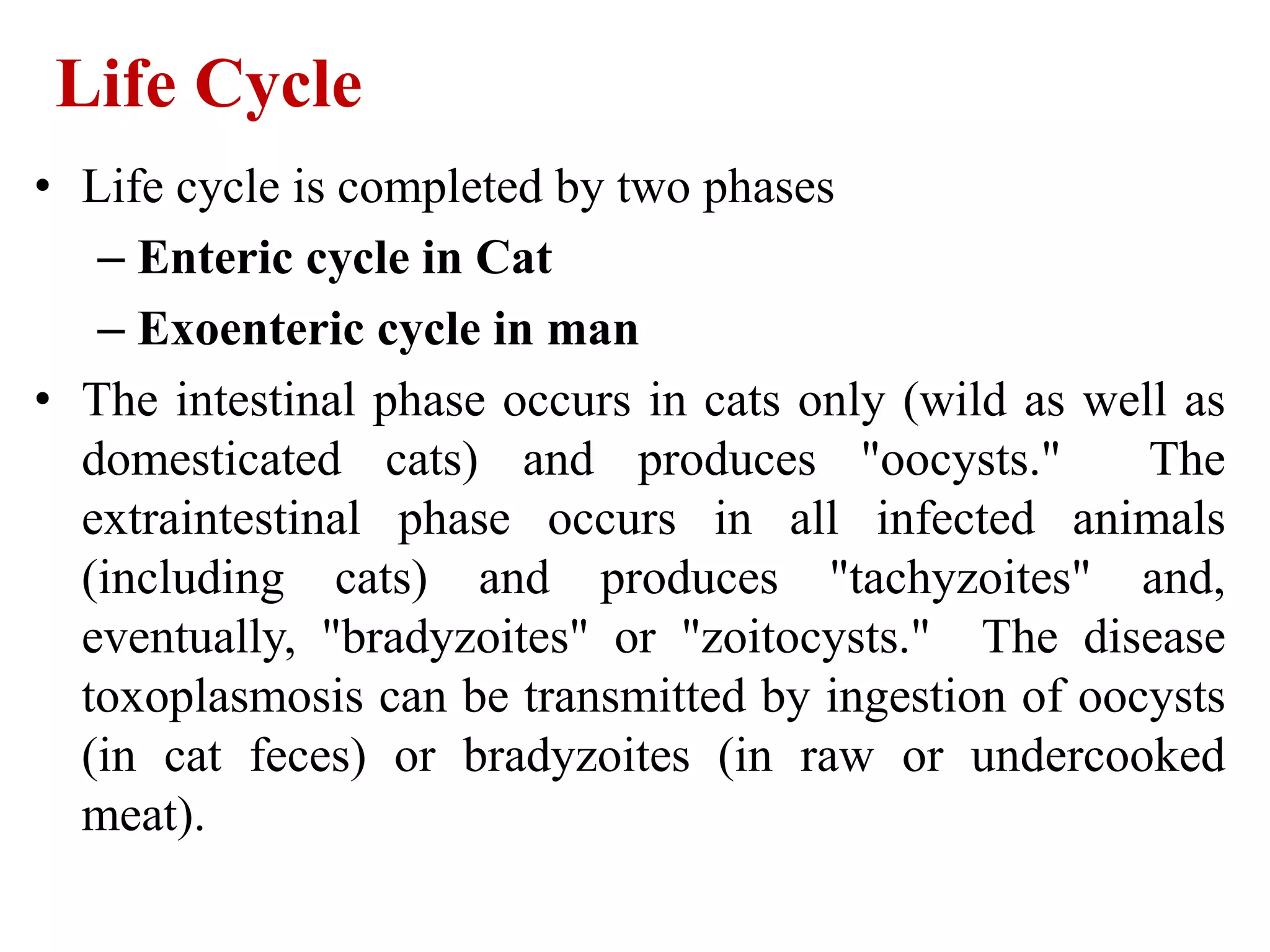 7. toxoplasma | PPTX