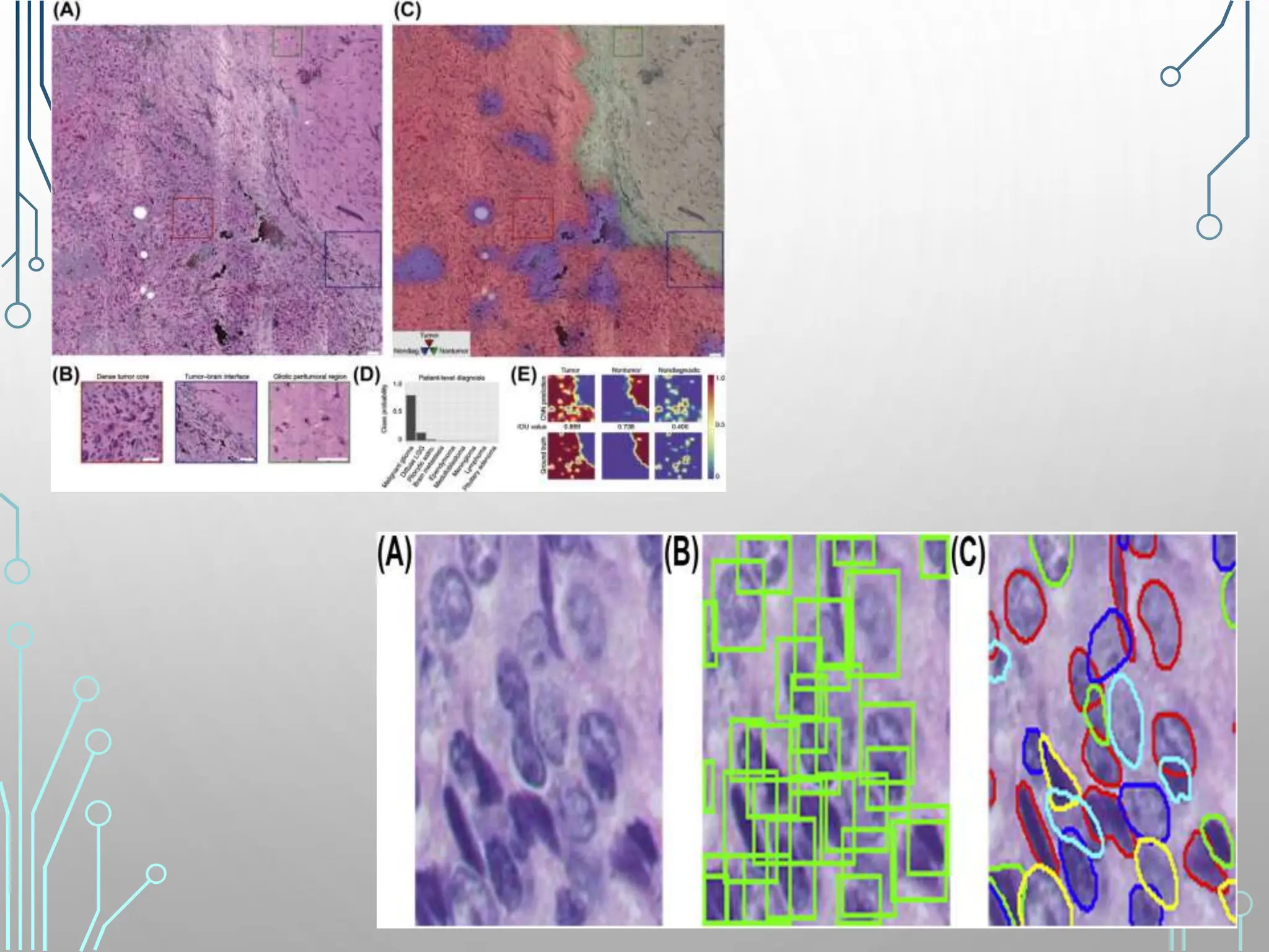 7-1 ARTIFICIAL INTELLIGENCE IN PATHOLOGY semiar 2.pptx
