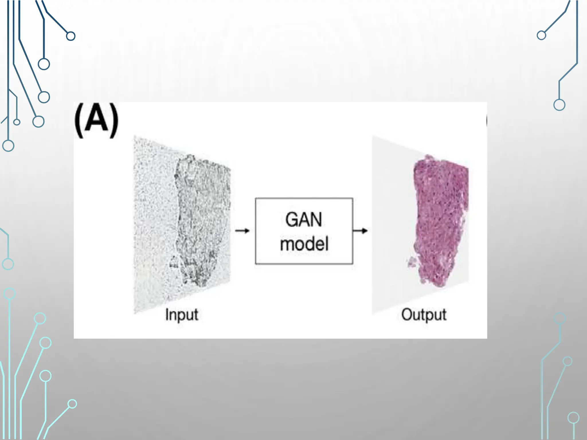 7-1 ARTIFICIAL INTELLIGENCE IN PATHOLOGY semiar 2.pptx