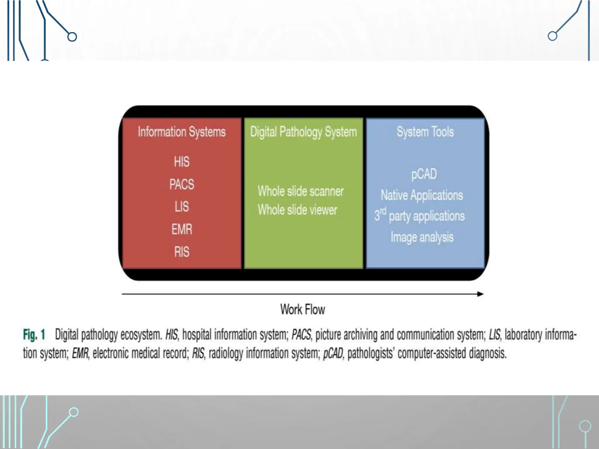 7-1 ARTIFICIAL INTELLIGENCE IN PATHOLOGY semiar 2.pptx