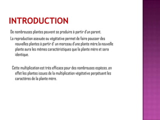 7.1 la multiplication_vegetative_des_vegetaux | PPTX