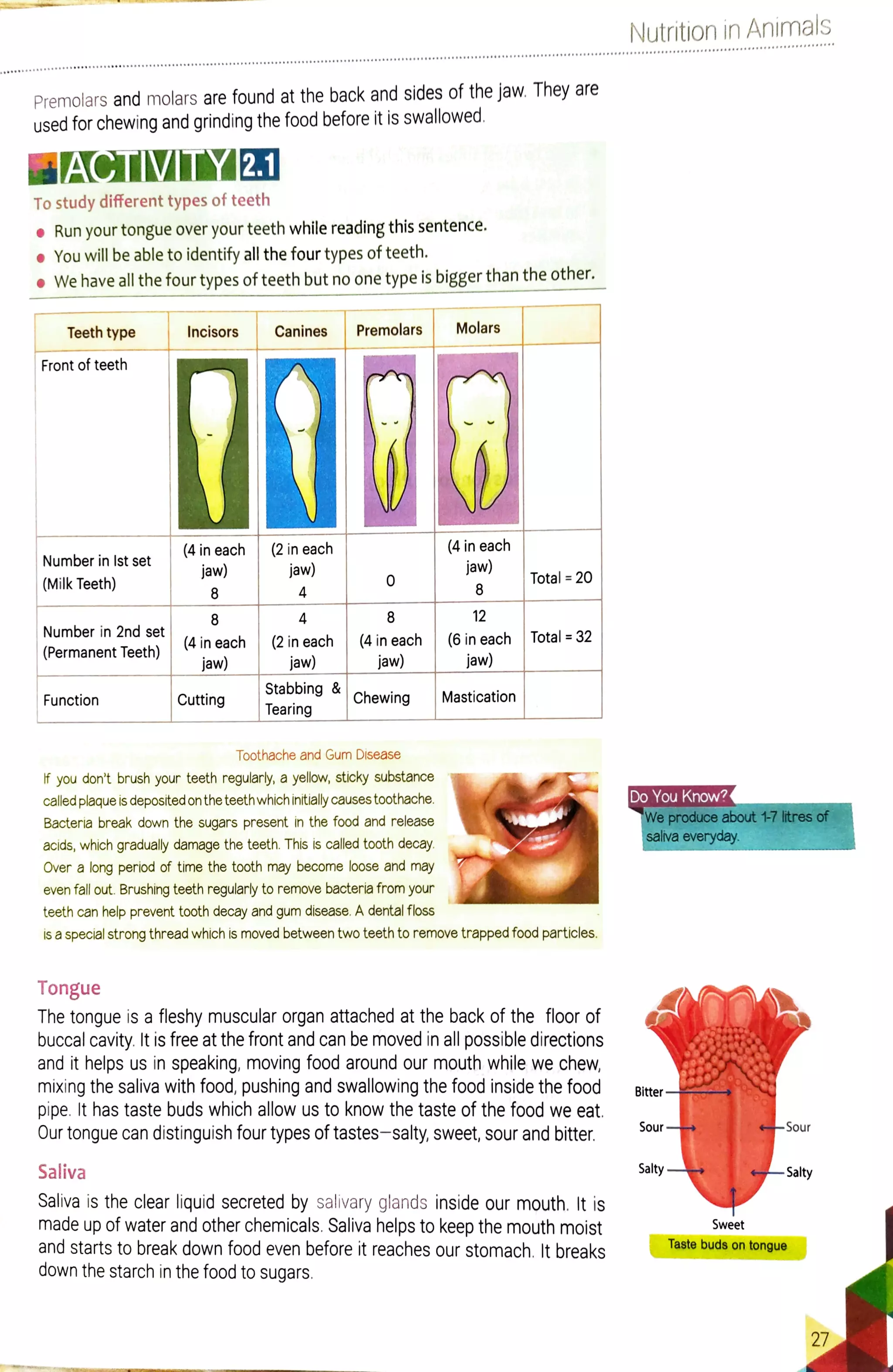 Nutrition in Animals | PDF