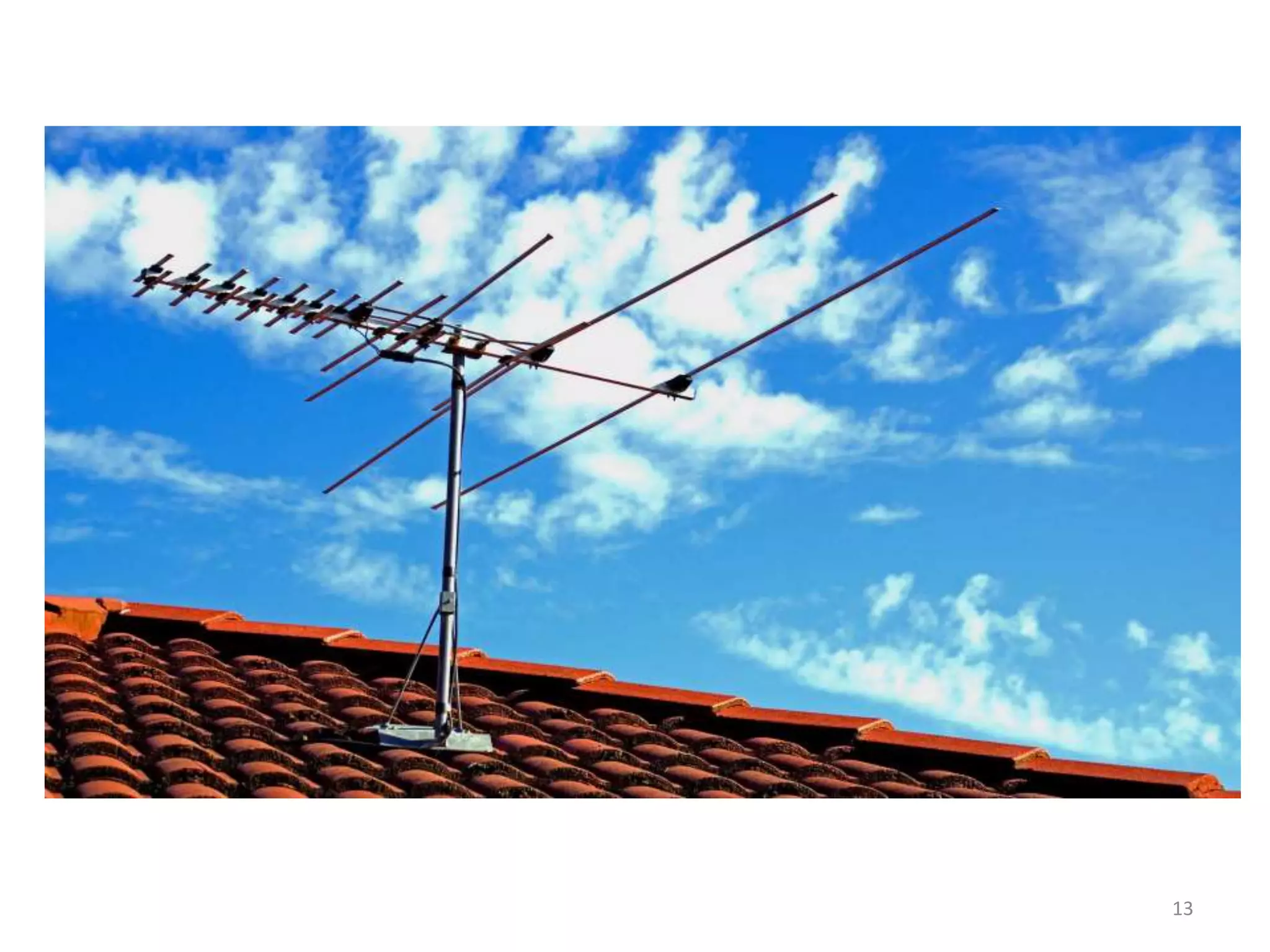 Types of insect heads and antennae | PPTX