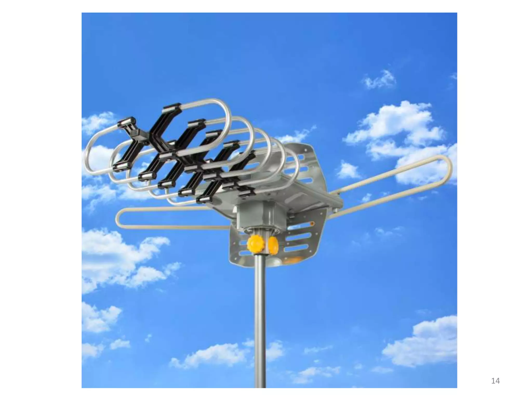 Types of insect heads and antennae | PPTX