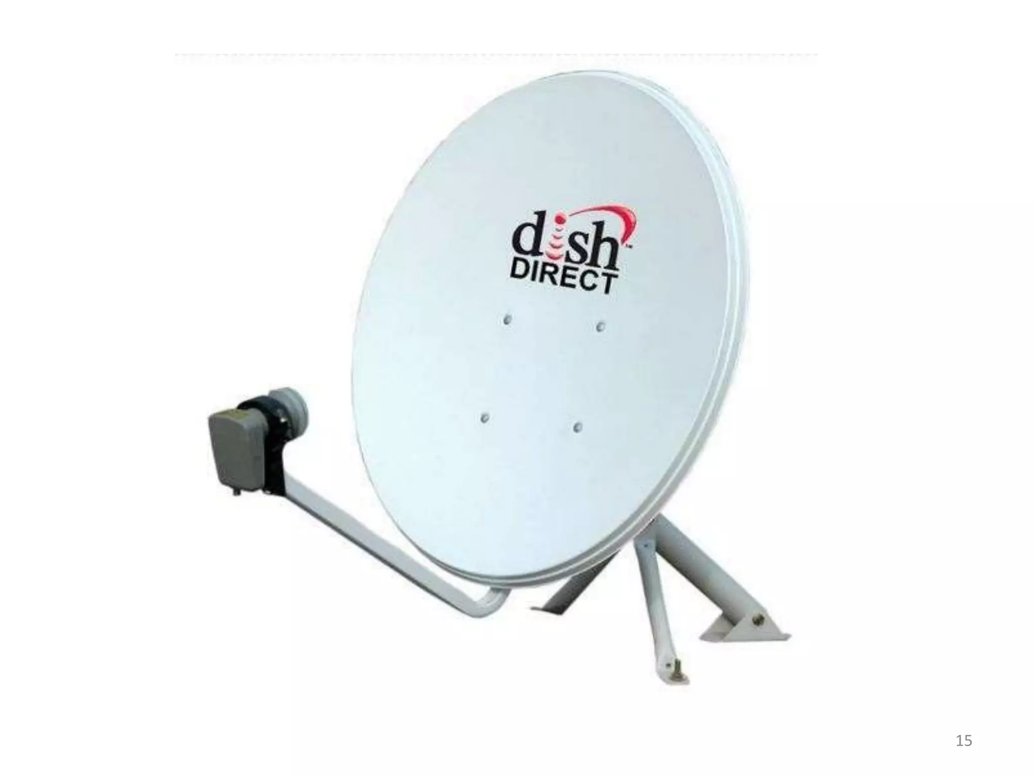 Types of insect heads and antennae | PPTX