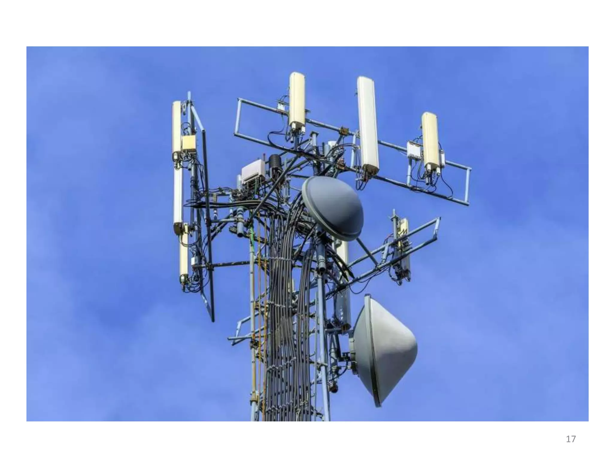 Types of insect heads and antennae | PPTX