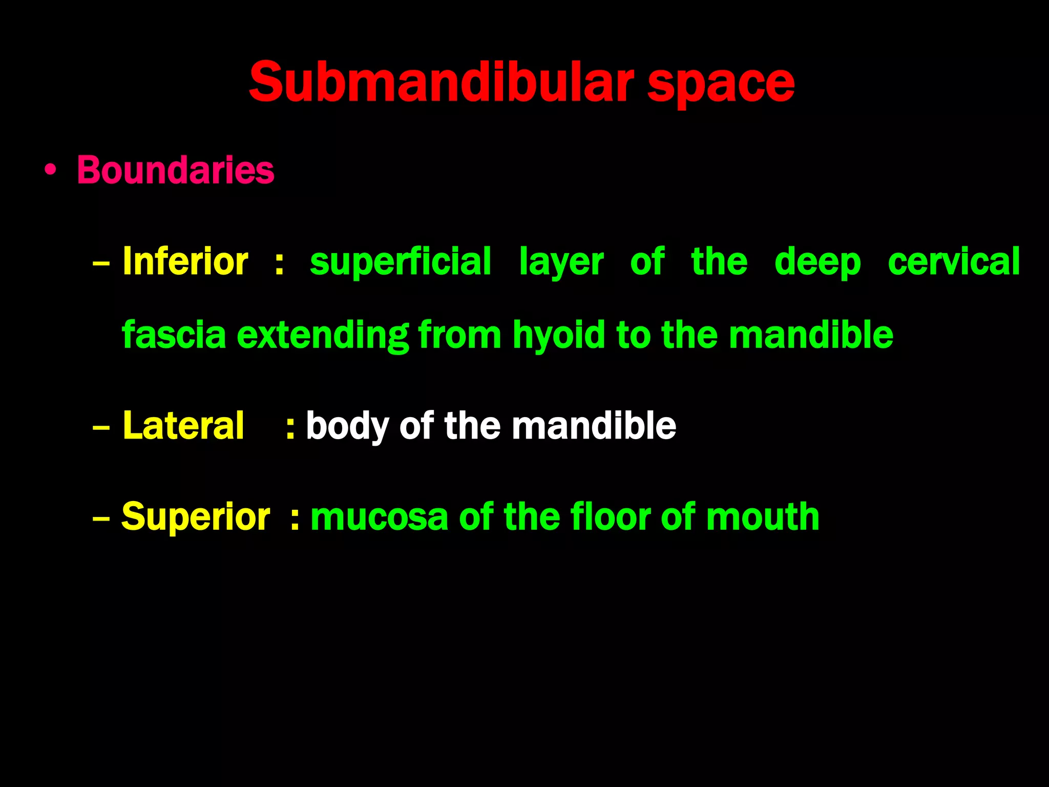 Anatomy of neck, deep neck spaces | PPT