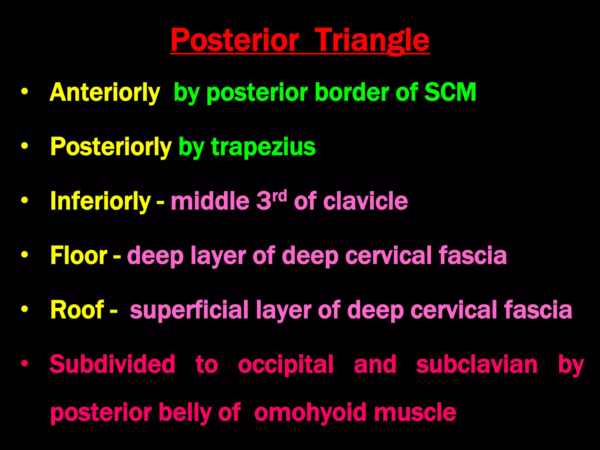 Anatomy of neck, deep neck spaces | PPT