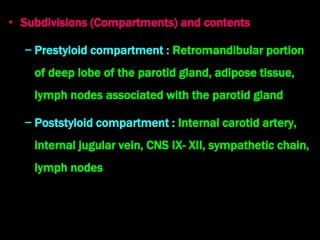 Anatomy of neck, deep neck spaces | PPT