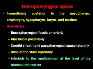 Anatomy of neck, deep neck spaces | PPT