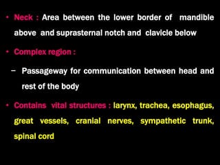 Anatomy of neck, deep neck spaces | PPT