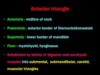 Anatomy of neck, deep neck spaces | PPT