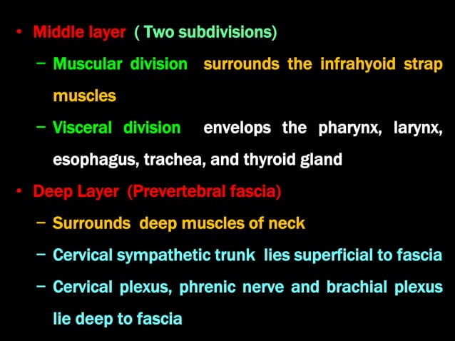 Anatomy of neck, deep neck spaces | PPT