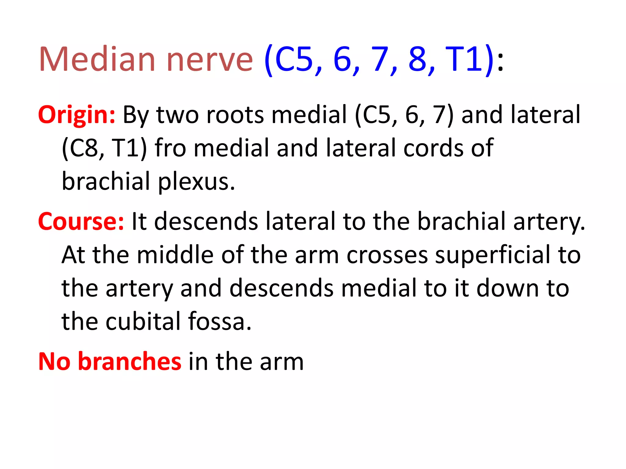 Arm and cubital fossa- Dr.K.S.Ravi