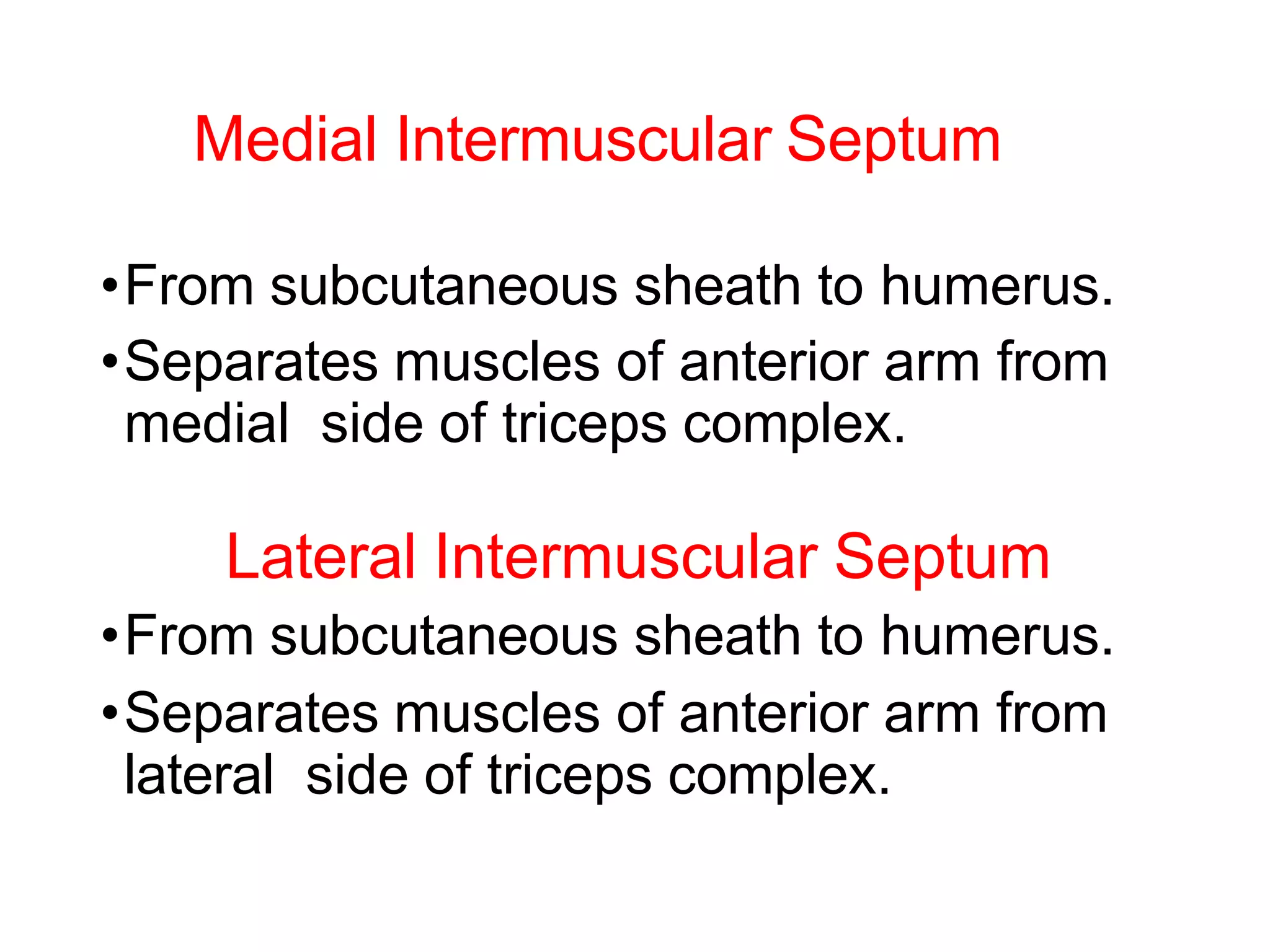 Arm and cubital fossa- Dr.K.S.Ravi
