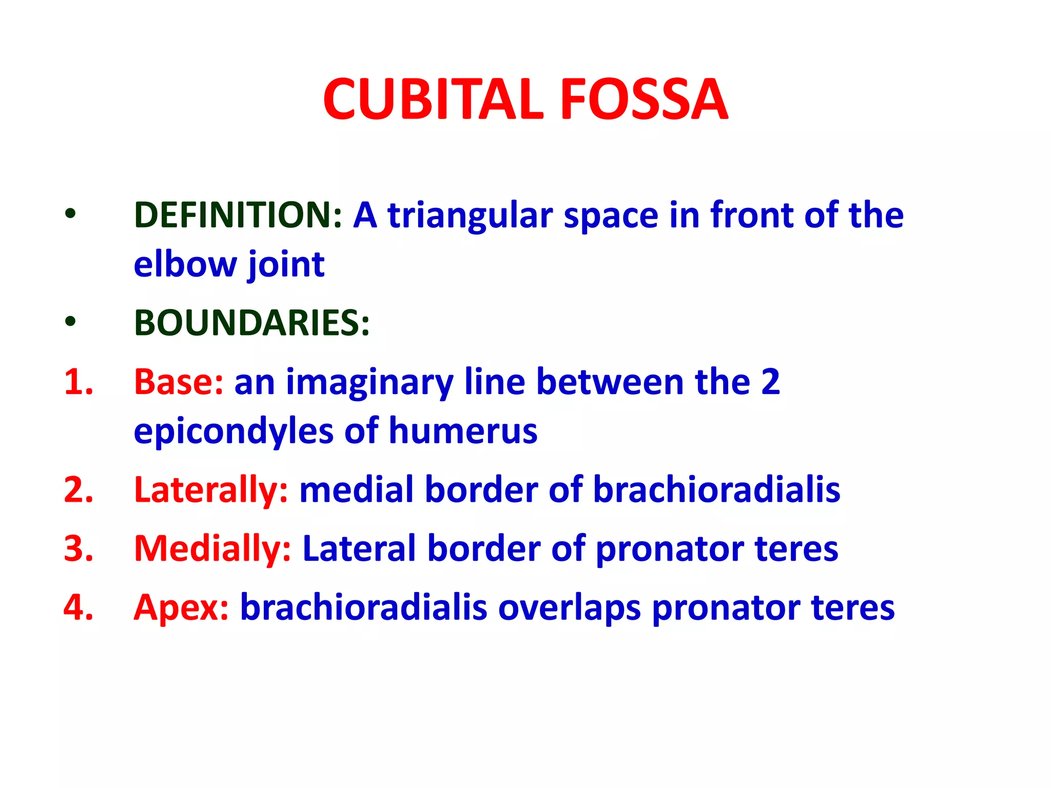 Arm and cubital fossa- Dr.K.S.Ravi