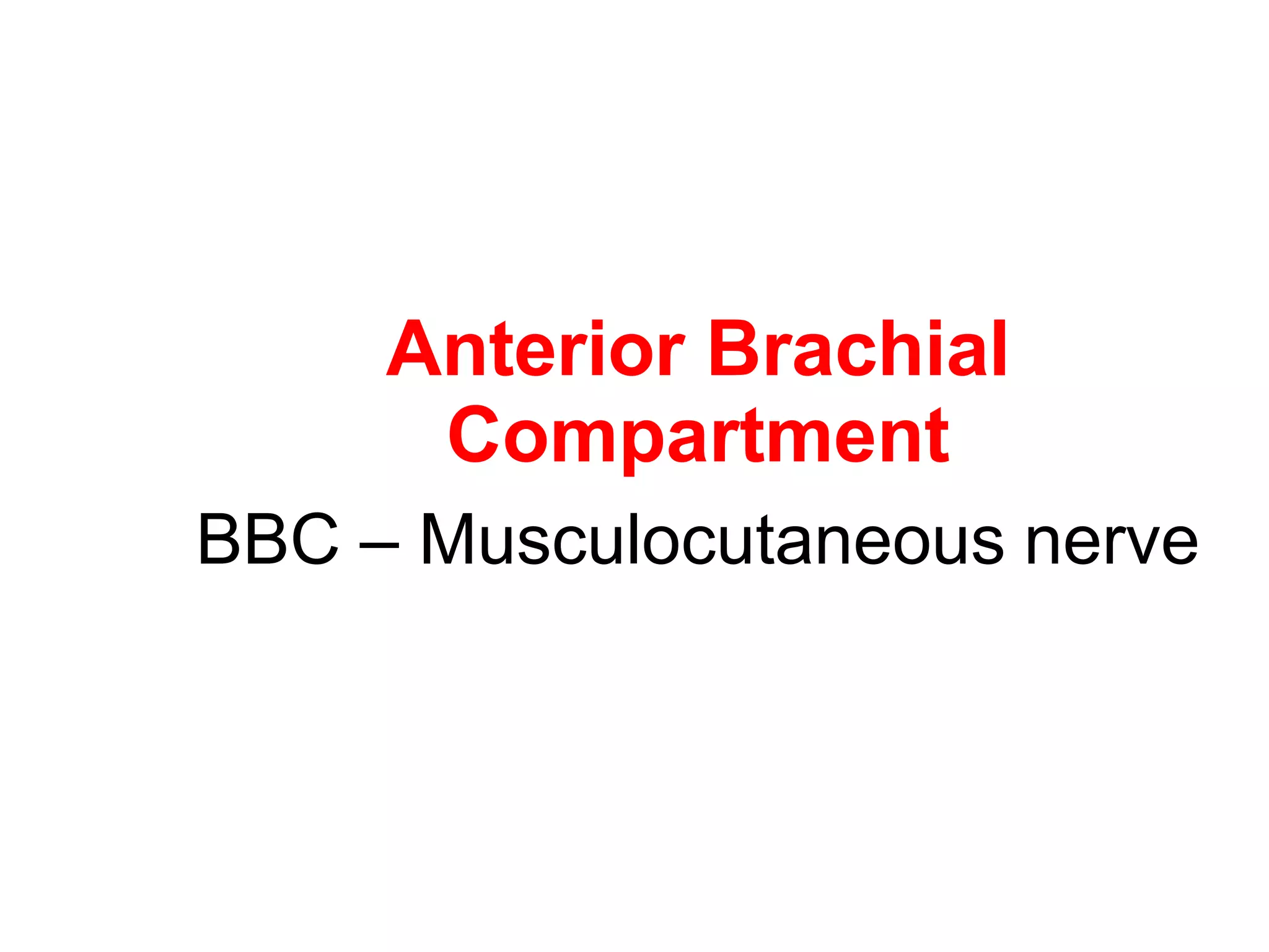 Arm and cubital fossa- Dr.K.S.Ravi