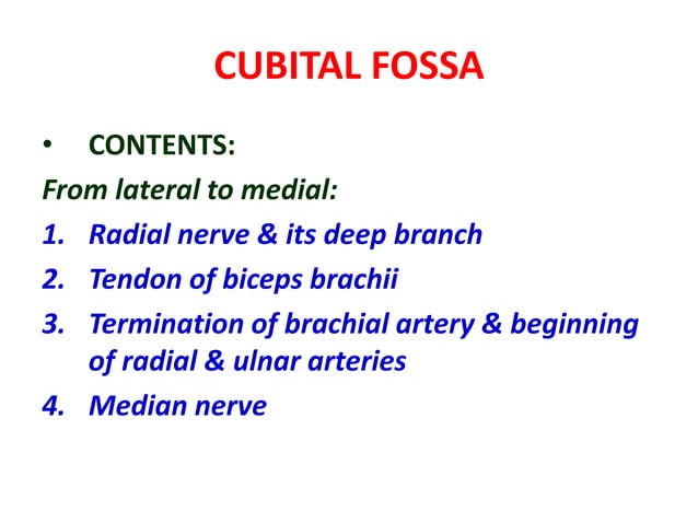 Arm and cubital fossa- Dr.K.S.Ravi