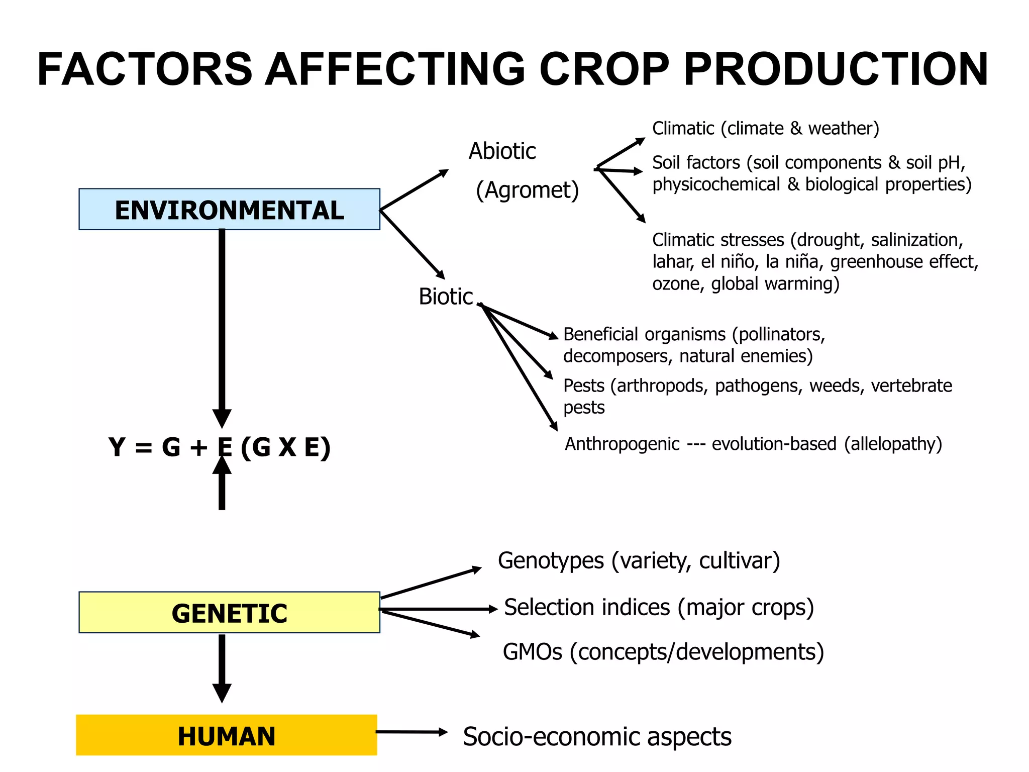 Factors Affecting Crop Production | PDF