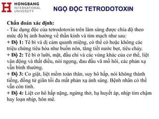 Ngộ độc tetrodotoxin | PDF