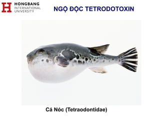 Ngộ độc tetrodotoxin | PDF