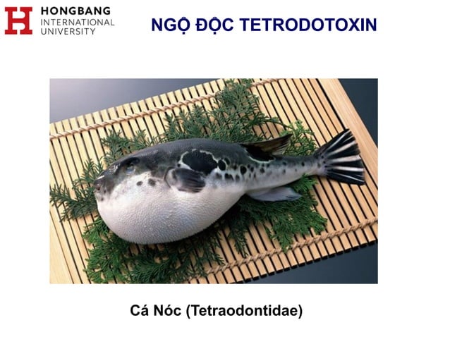Ngộ độc tetrodotoxin | PDF
