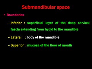 7. anatomy of neck | PPT