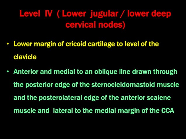 7. anatomy of neck | PPT