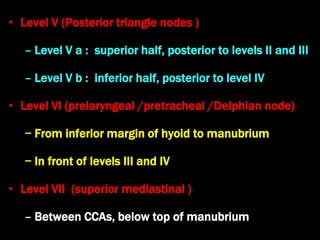 7. anatomy of neck | PPT