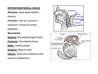 Pharyngeal spaces | PPTX