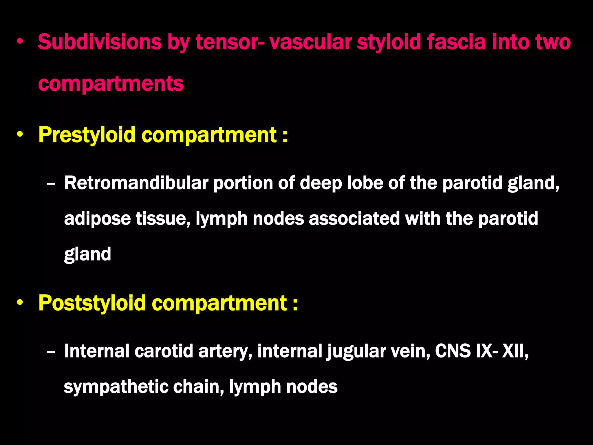 7. anatomy of neck incuding deep neck spaces | PPT