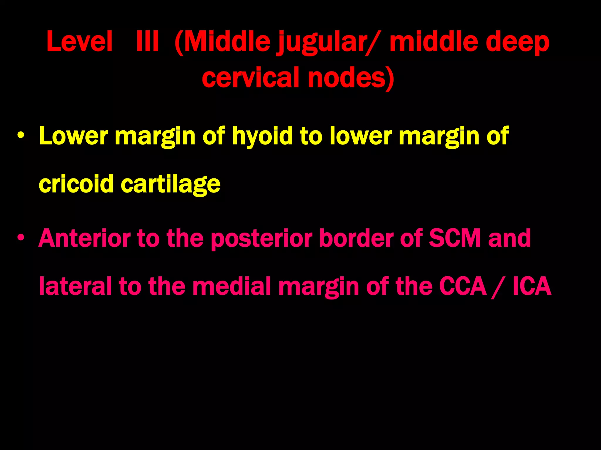 7. anatomy of neck incuding deep neck spaces | PPT