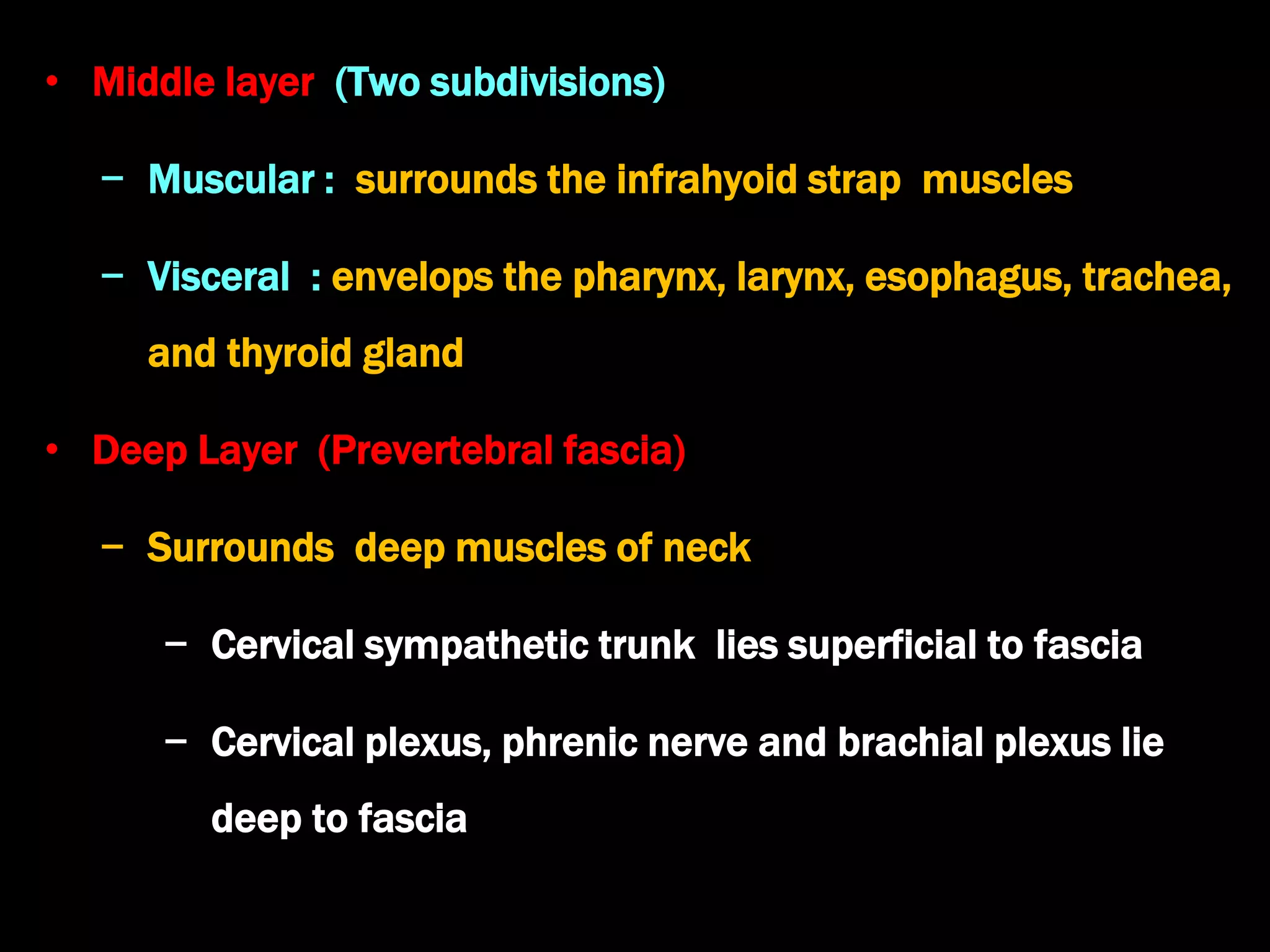 7. anatomy of neck incuding deep neck spaces | PPT