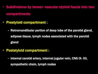7. anatomy of neck incuding deep neck spaces | PPT | Death, Injury, or ...