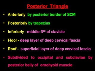 7. anatomy of neck incuding deep neck spaces | PPT | Death, Injury, or ...