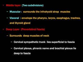 7. anatomy of neck incuding deep neck spaces | PPT | Death, Injury, or ...