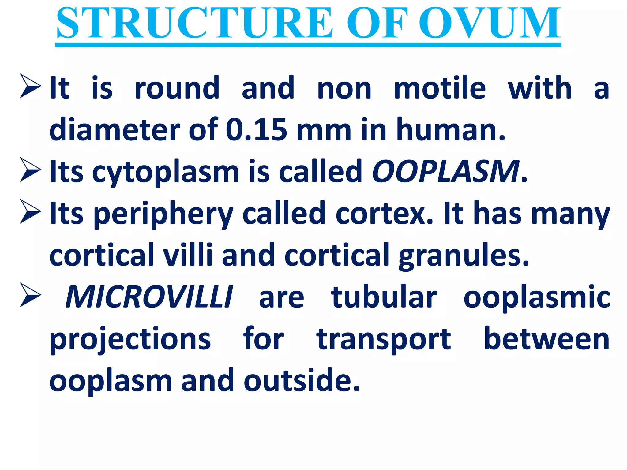 Structure of Ovum | PDF
