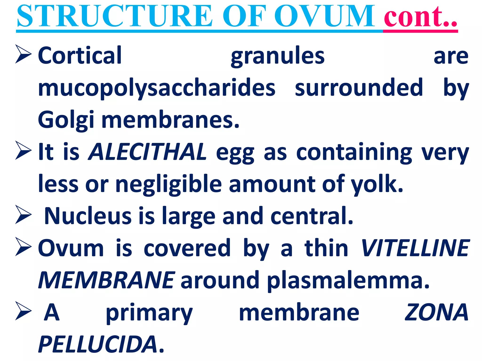 Structure of Ovum | PDF