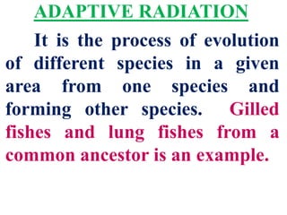 Mechanism of Evolution | PDF
