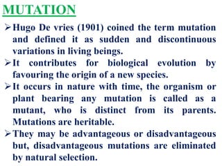 Mechanism of Evolution | PDF