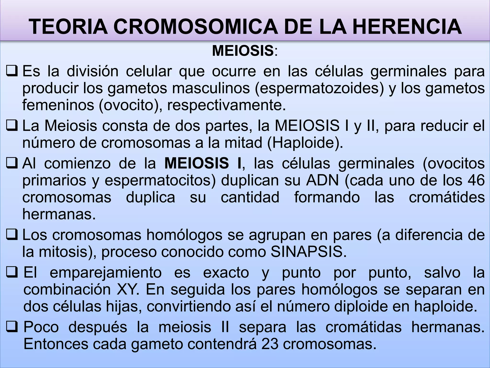 7 Embriogenesis De Las Celulas Germinales Cgp Ppt 