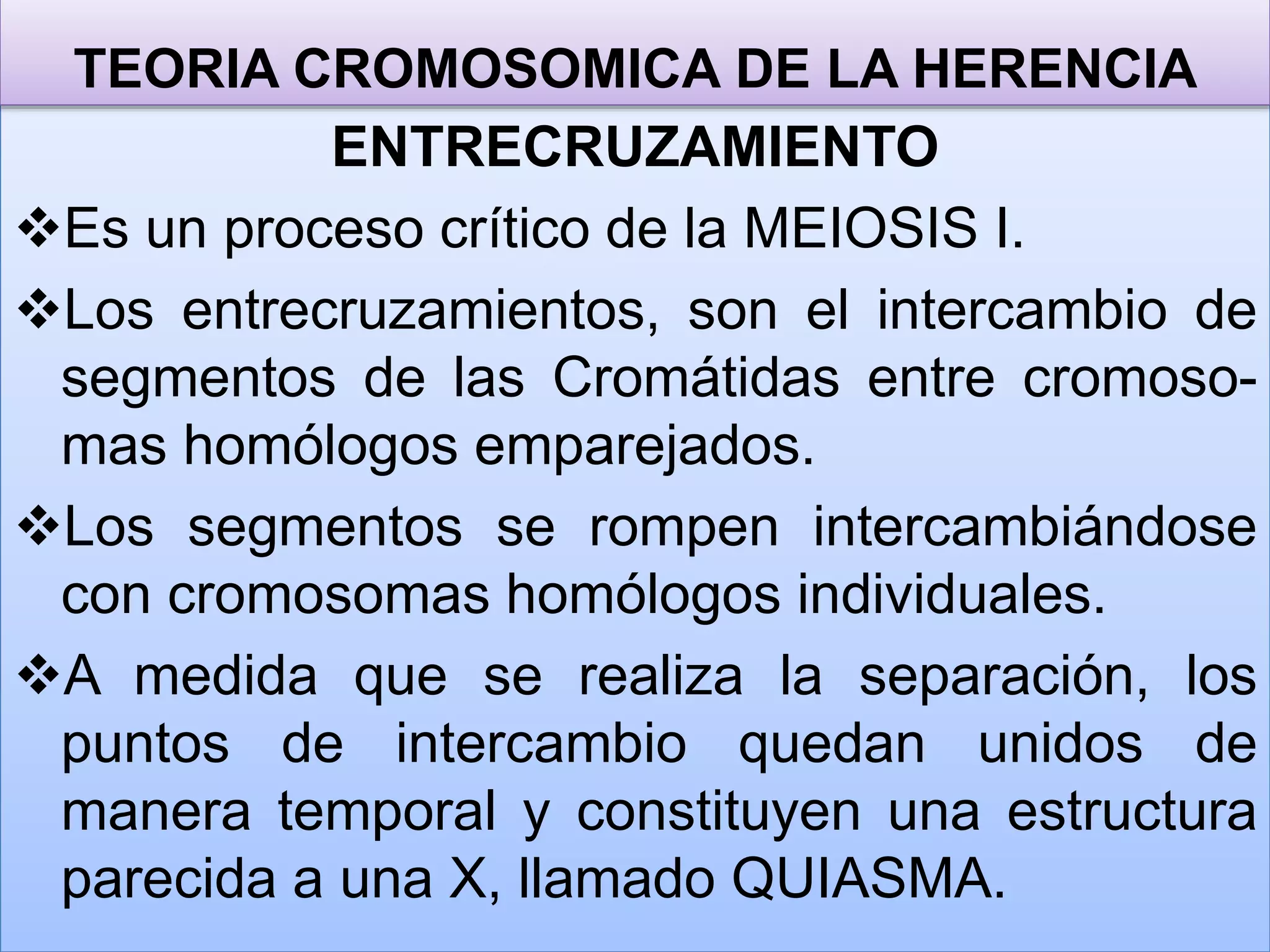 7 Embriogenesis De Las Celulas Germinales Cgp Ppt 
