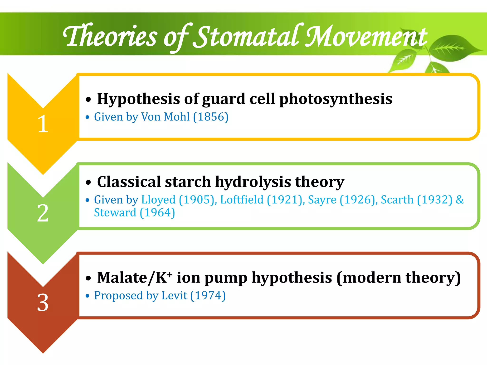 Physiology of stomata | PPT