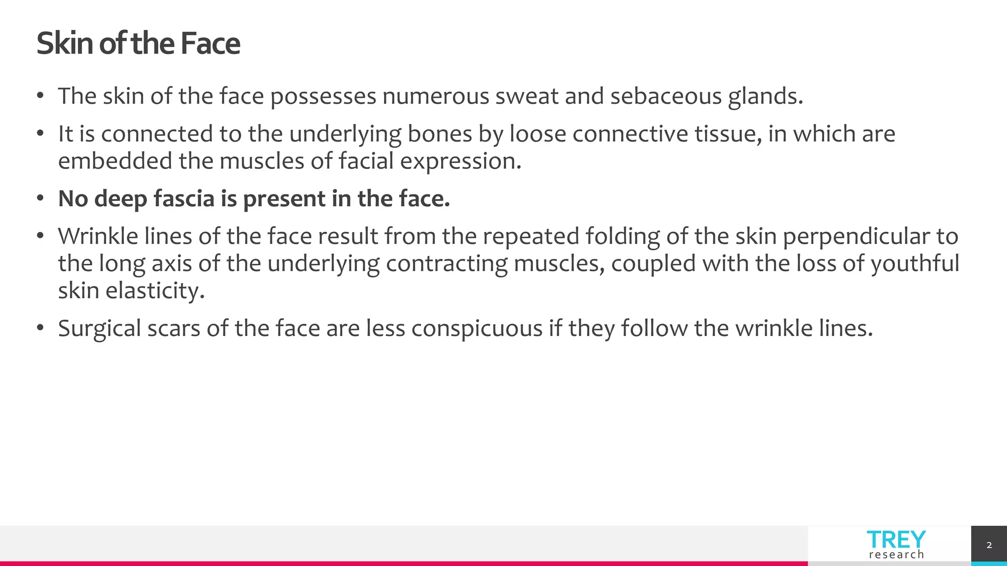 The Face | PPTX